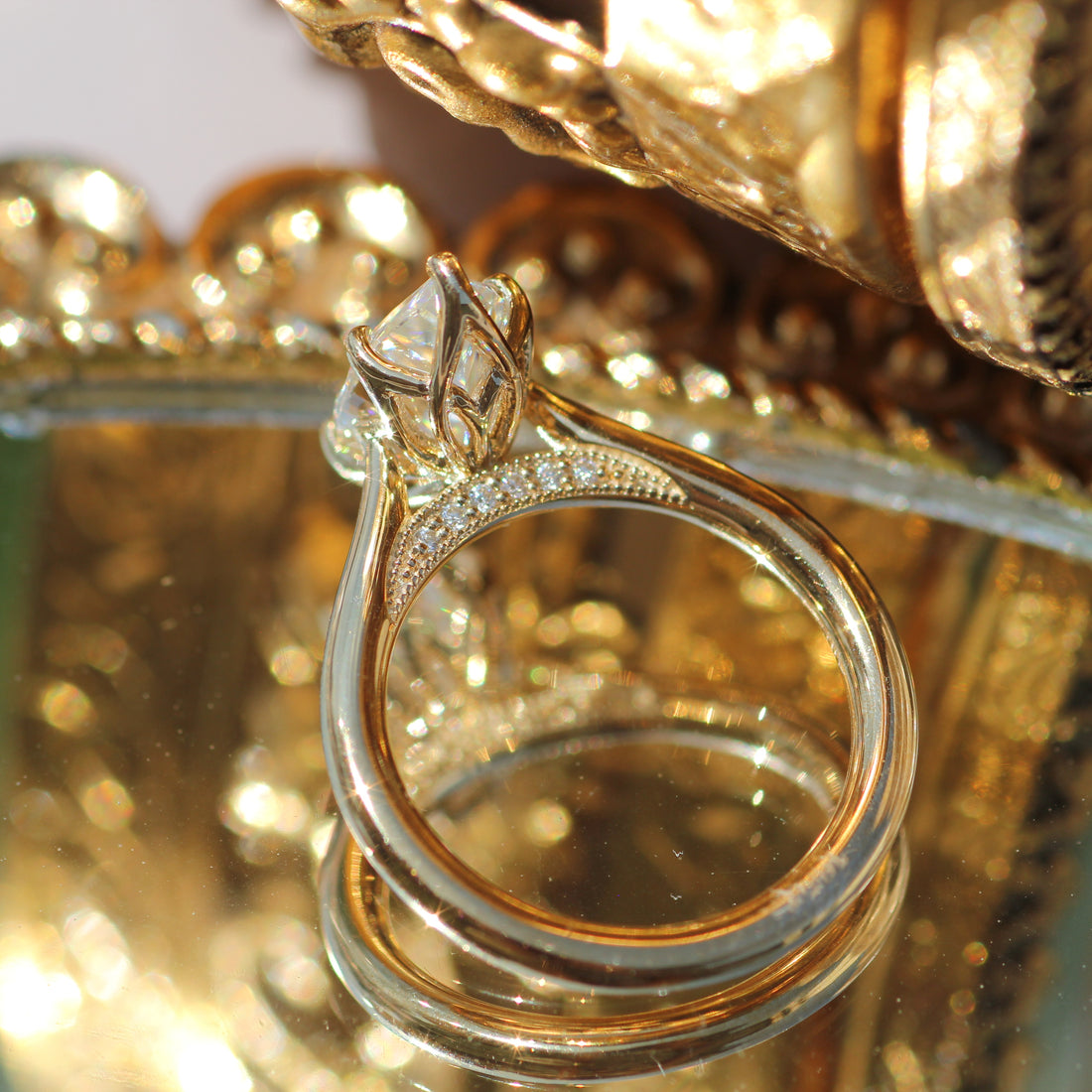 Shop All – Bijou Lab