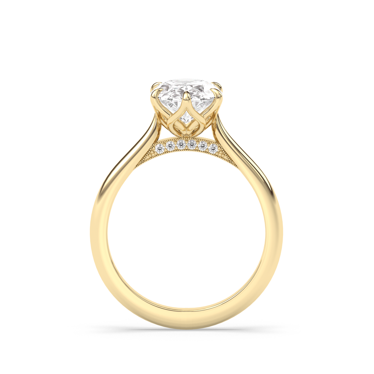 Bijou Lab Moissanite Engagement Rings and Fine Jewelry